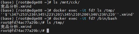 character messy happen while using cmd docker exec · issue 44544