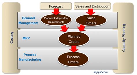 Business Process Flows In Sap Pp Pi