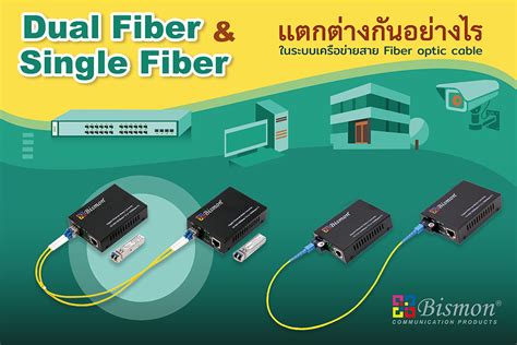 Dual Fiber และ Single Fiber แตกต่างกันอย่างไร ในการเลือกใช้งานอุปกรณ์สำหรับข่ายสาย Fiber Optic