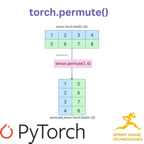Torchpermute Rearranging The Dimensions Of A Tensor