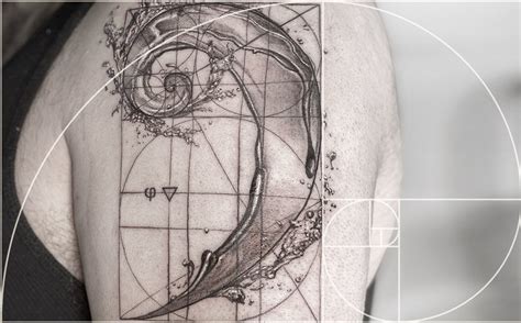 Fibonacci Sequence — Daniel Meyer Tattoo