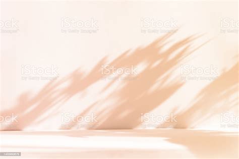 제품 프리젠 테이션을위한 추상 핑크 스튜디오 배경 창문과 꽃과 야자수 잎의 그림자가있는 빈 방 복사 공간이있는 3d 실 여름 콘서트 흐릿한 배경 0명에 대한 스톡 사진 및