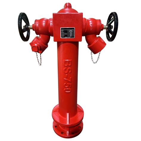 Reliable 2 Way Wet Fire Hydrant Bs750 Pillar Type Hydrant