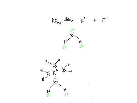 Solved 10 When Potassium Fluoride Is Dissolved In Water Which Part Of