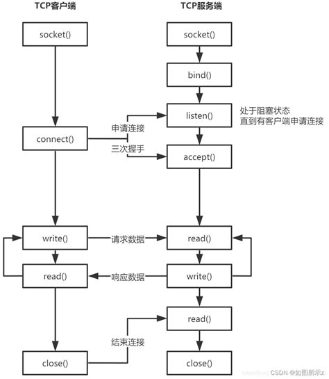 软考 套接字（scoket）软考 套接字 Csdn博客
