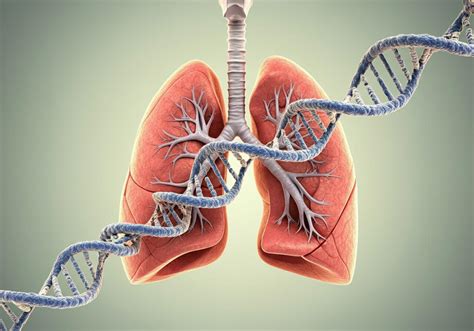 Revolutionizing Cystic Fibrosis Treatment Insights Into Current Gene