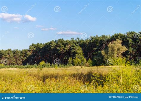 Scenic Landscape On A Sunny Day Stock Image Image Of Blue Background
