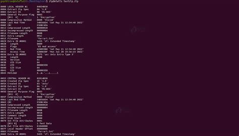 Zip Command In Linux Dataflair