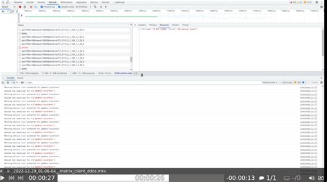 Element Web Client Ddosing My Localhost Matrix Homeserver · Issue