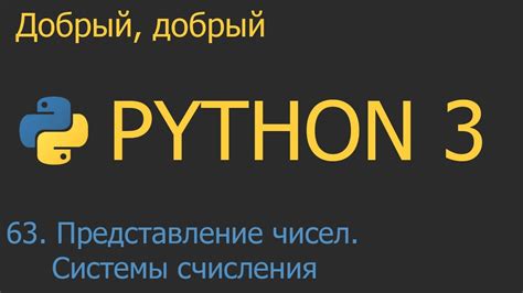 63 Расширенное представление чисел Системы счисления Python для начинающих Youtube
