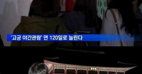 고궁 야간 관람 예약 내일 24일 부터 시작 예매처는 어디
