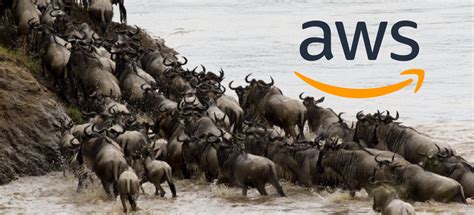 Aws帮助从windows Server迁移net到linux 极客技巧