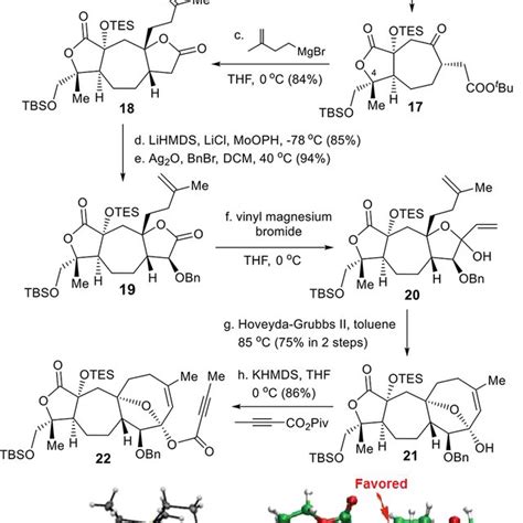 Scheme 6 Synthesis Of Compound 28 A Download Scientific Diagram