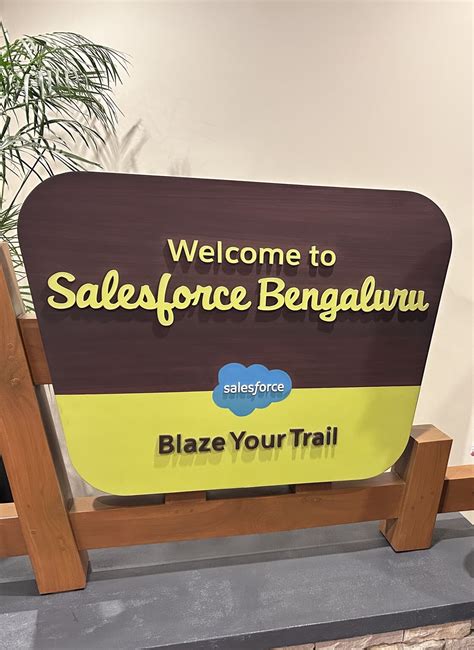 Salesforce Pryansi Gupta 30 Comments