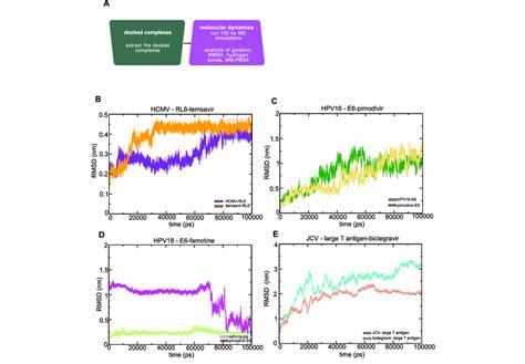 Molecular Dynamics Simulation Analysis Of Drug Virus Target Complexes