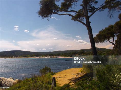 프랑스의 생 트로페 바르 프로방스 코트 다쥐르 남쪽 따뜻한 화창한 여름 날에 세계적으로 유명한 관광 리조트 및 휴가 목적지 장소