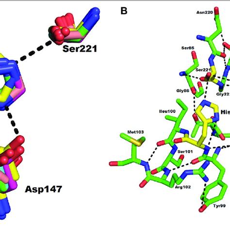 A Structural Alignment Of The Three Catalytic Residues Catalytic