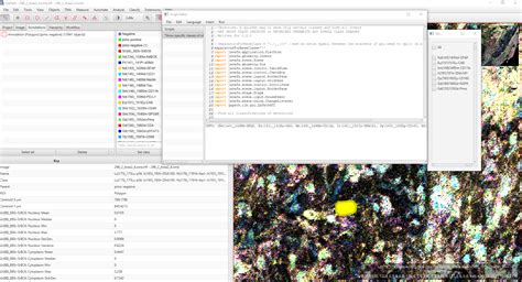 QuPath Script UI For Class Visibility Selection Image Analysis Image Sc Forum