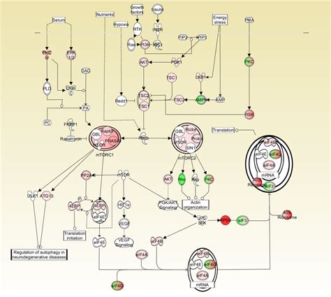 Phosphoproteomics Based Characterization Of Cancer Cell Signaling Networks Intechopen