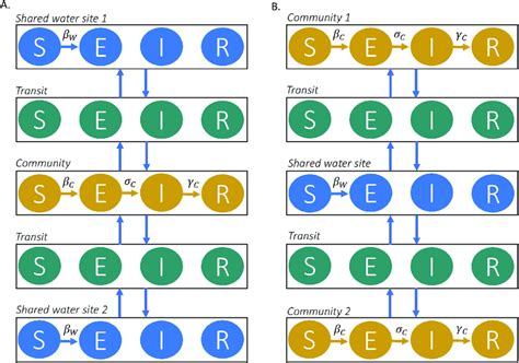 Seir Transmission Model Diagram For A The Urban Model Multiple Water