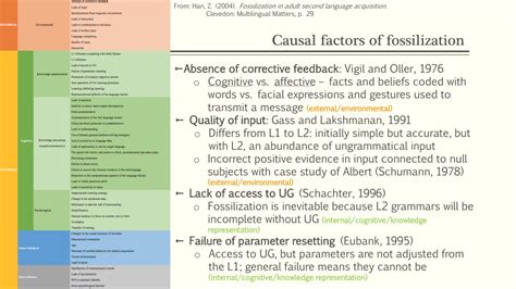 Ppt Fossilization In Language Learning Powerpoint Presentation Free Download Id 8776667