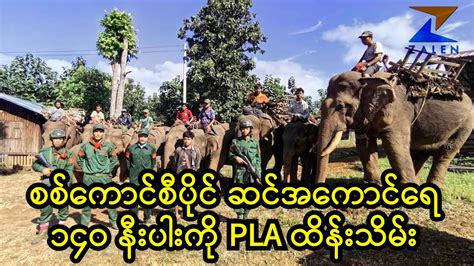 စစ်ကောင်စီပိုင် ဆင်အကောင်ရေ ၁၄ဝ နီးပါးကို Pla ထိန်းသိမ်း Youtube