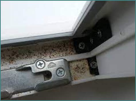 Как правильно очистить окна от ржавчины и коррозии