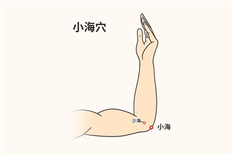 小海穴准确位置图和作用 百度健康·医学科普