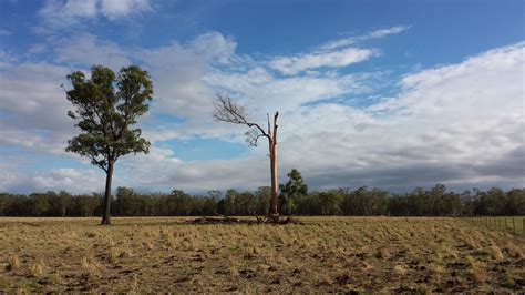 Digital Soil Mapping Of Soil Carbon At The Farm Scale A Spatial Downscaling Approach Digital