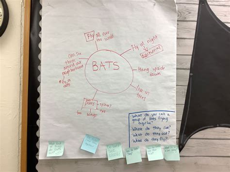 The Bat Project Illinois Early Learning Project