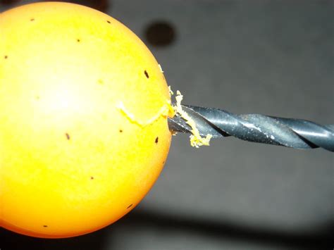 Homeade Catnip Balls 7 Steps Instructables