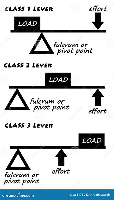 Classes Of Lever Infographic Diagram For Physics Science Education