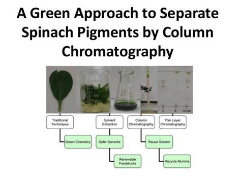 Chromatogram Of Spinach