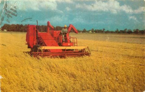 Custom Combine Harvesters