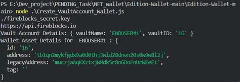 Javascript Fireblocks Polygon Wallet Creation Axios Error Stack