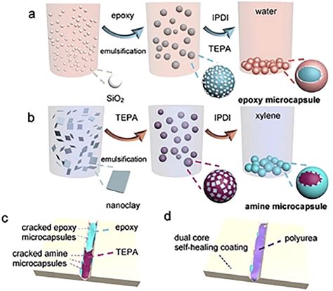 Preparation Of Pu Shell Microcapsule Loaded With A Epoxy And B