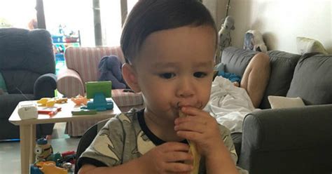 샘 해밍턴 아들 윌리엄 부쩍 자란 근황 공개