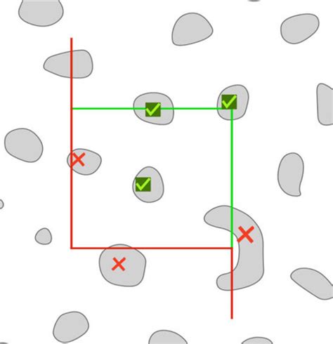 The Counting Box The Figure Above Shows Cell Counting Rules Per Download Scientific Diagram