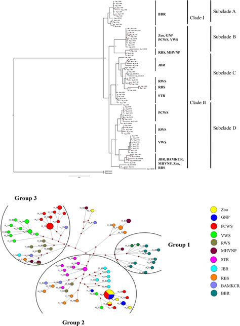 A Bayesian Phylogenetic Analysis Of The Combined Dataset 1465 Bp Of Download Scientific