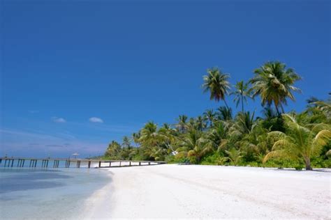 무료 이미지 나무 열대 자연 낮 바닷가 야자수 바다 대양 카리브 해의 푸른 육지 종범 휴가 하늘빛 우디 식물 연안 및 해양 지형 엘라 에이스