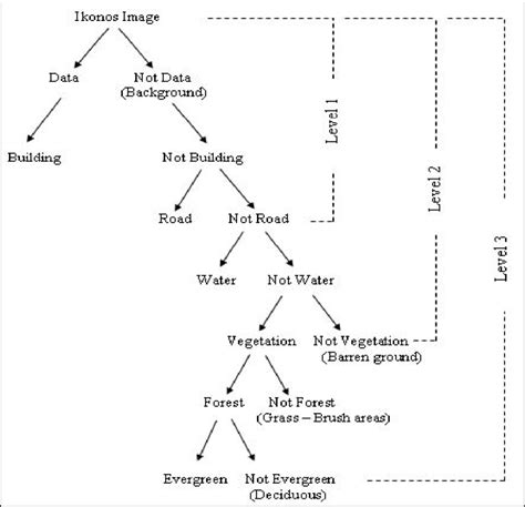 processing steps of classification download scientific diagram