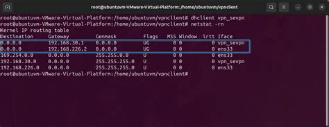 How To Set Up A Softether Vpn Over Client On Windows And Linux