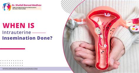 When Is Intrauterine Insemination Done
