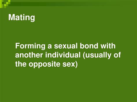 The Family In The Caribbean Ppt Download