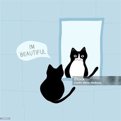 귀여운 흑백 고양이가 거울을 보고 그의 반사를 보고 있습니다 고양이의 생각 나는 아름답다 재미있는 카드 0명에 대한 스톡 벡터 아트 및 기타 이미지 Istock