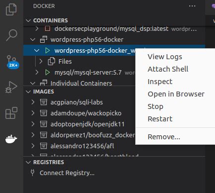 Leveraging Docker VSCode To Study Web Vulnerabilities SecSI