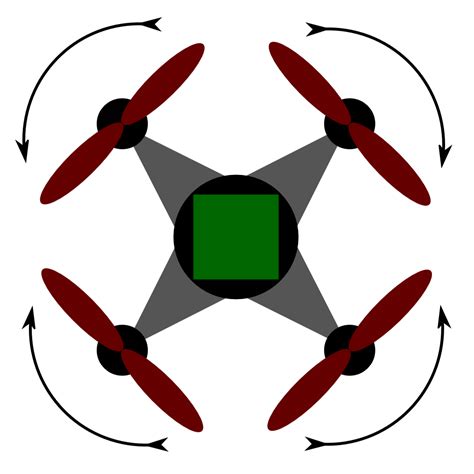 a virtual bird