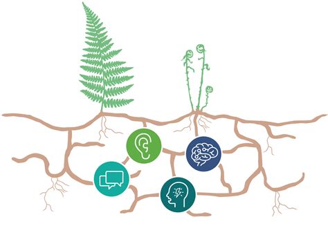 Module 2 Early Learning Framework Course