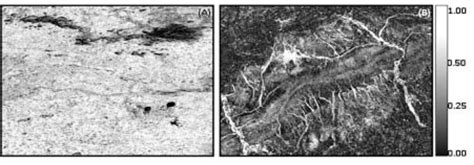 Coherence Images A Plane Terrain And B Undulating Terrain
