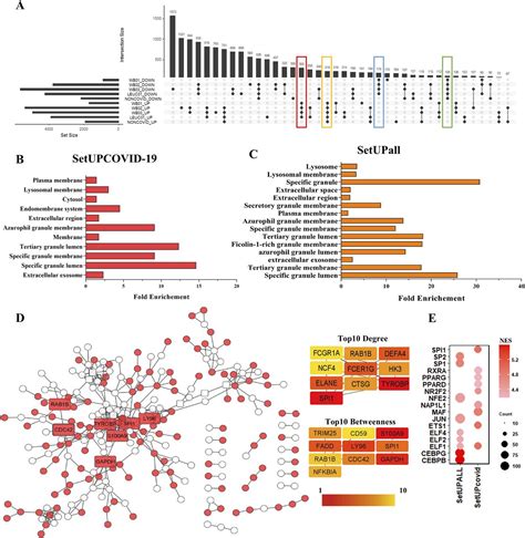 Rna Seq